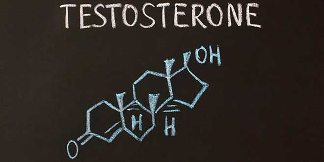 Top 10 Alimenti per aumentare la produzione di testosterone