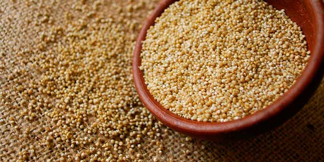Quinoa: O que é, Propriedades, Benefícios, Usos, Receitas...