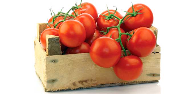 Licopene: benefici e funzione antiossidante 2024