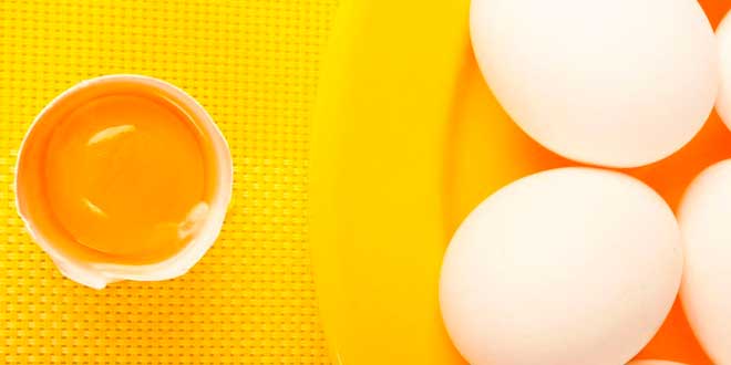 Proteine d'Uovo - Una grande fonte di nutrienti