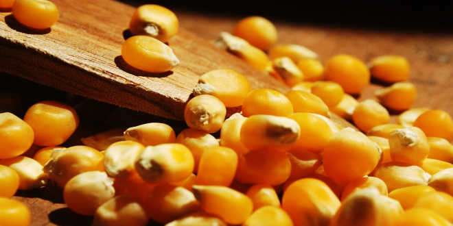 Occhi e Zeaxantina: proprietà ed effetti collaterali