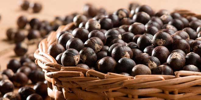 Bacche di Acai: proprietà e benefici per la salute