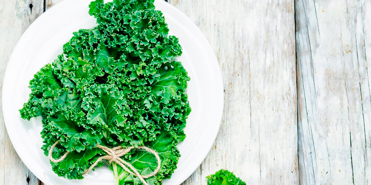 Tutto sul Kale: Che cos'è, Proprietà e Ricette - HSN Blog