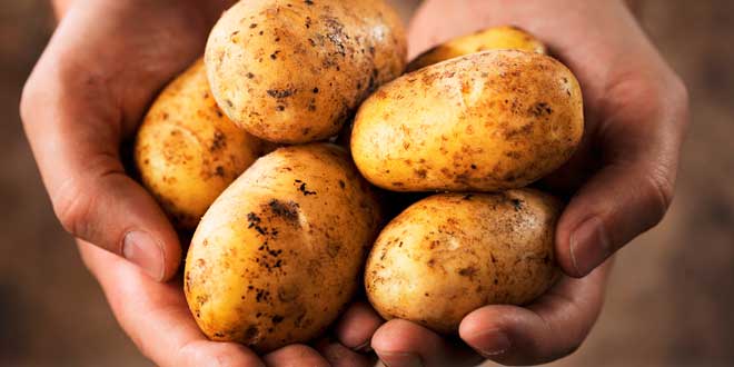 Amido Resistente: Che cos’è, Benefici, Aiuta a Dimagrire?