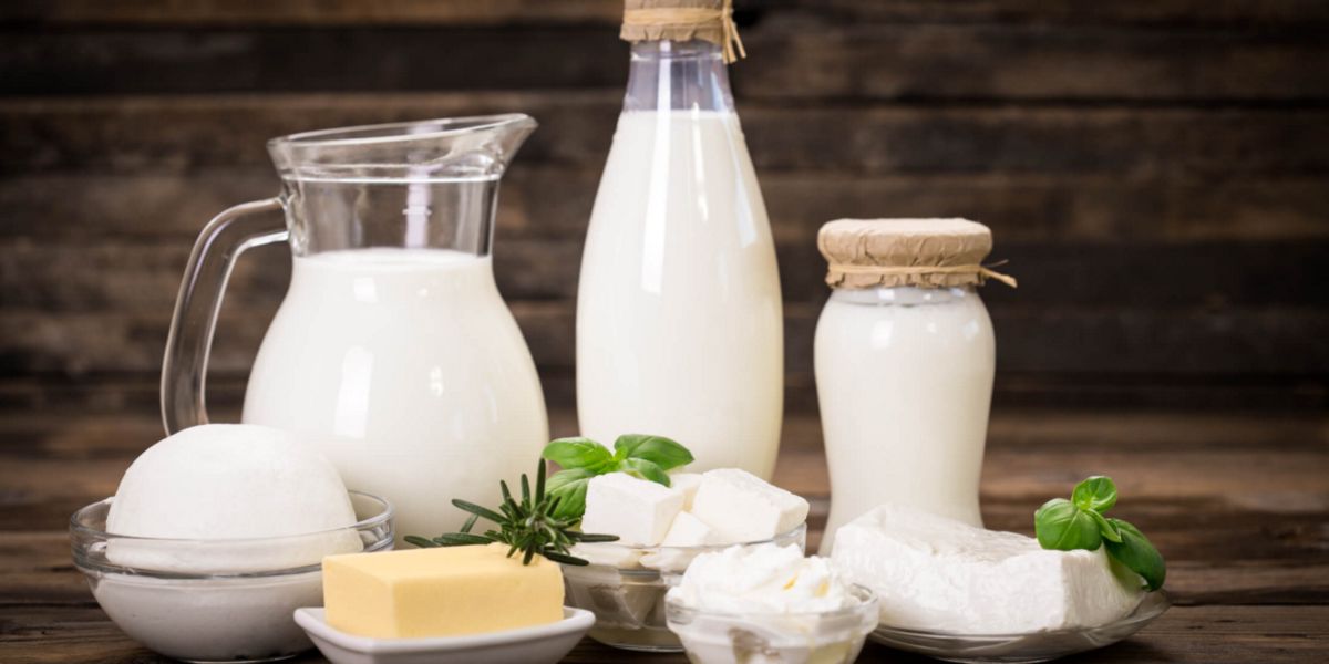 I latticini fanno bene o male? Cosa devi sapere