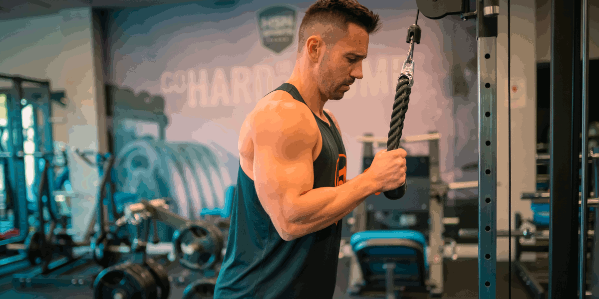 Esercizi per Bicipiti e Tricipiti: Quali sono i MIGLIORI?