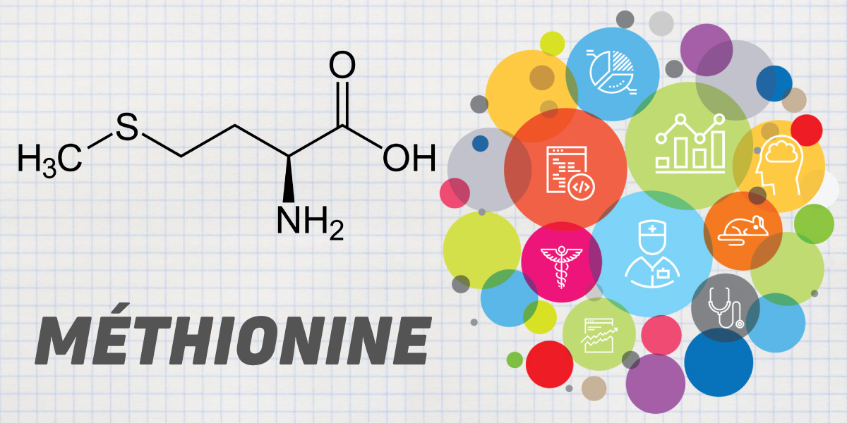 Core Methionine Identification | Synthèse De Méthionine – TAVSK