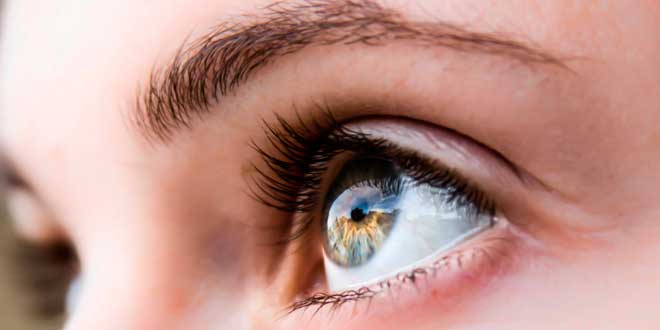 Ocular Health - Complete guide to take care of our sight