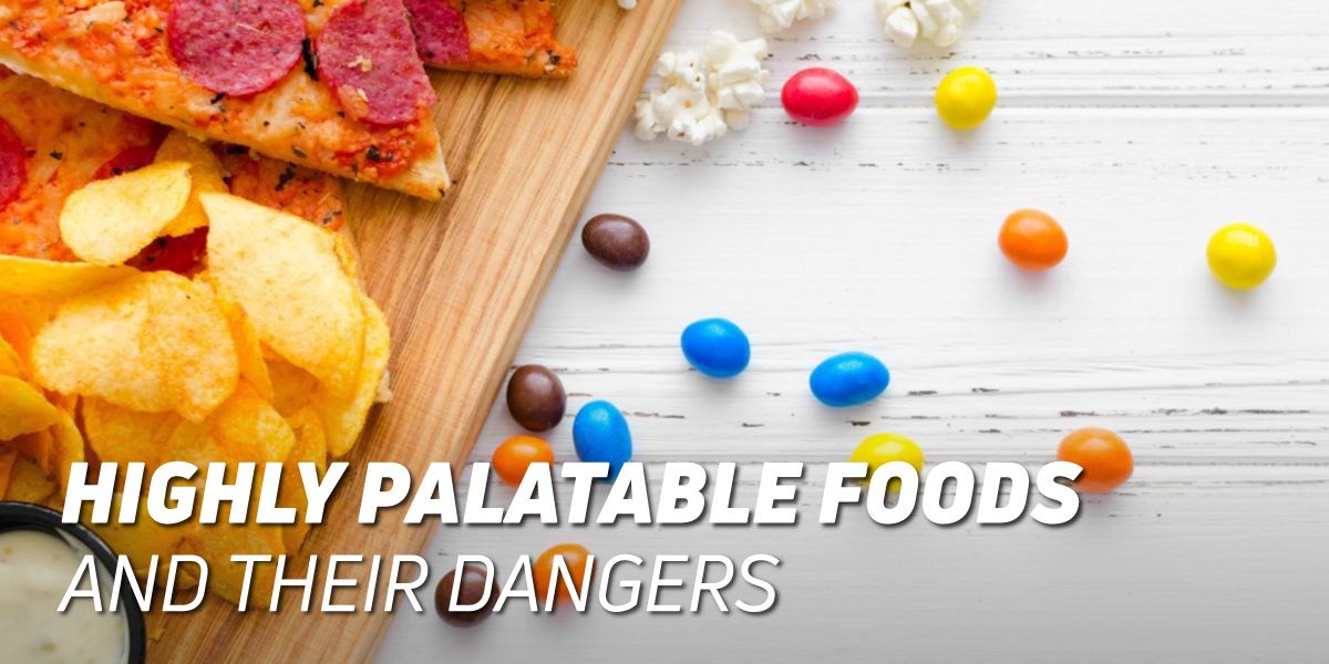 Hyper-palatable Foods - Addictive and Harmful? 【2025