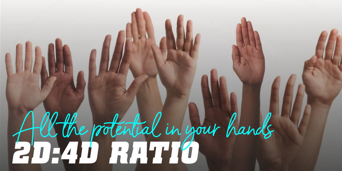 What does the 2D:4D Digit Ratio Relationship tell us?【HSN Blog】